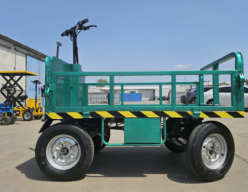 Double disc brake-CASE-Electric Trolleys China-Electric tricycle ...